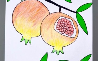 水果简笔画彩色可爱怎么画_适合零基础吗