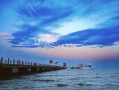 北戴河免费景点有哪些_北戴河不花钱去哪玩
