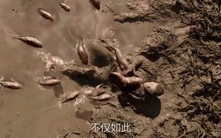 乌鱼影视网在线观看怎么找资源_乌鱼影视网最新地址是多少