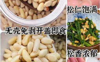 松子怎么吃_松子一天吃多少粒合适