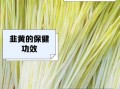 韭黄是什么_韭黄和韭菜的区别