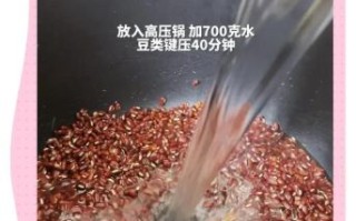 自制红豆沙雪糕怎么做_红豆沙雪糕配方比例