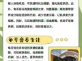 龟苓膏哪些人不能吃_孕妇能吃龟苓膏吗
