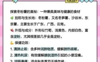 冬粉薯怎么做好吃_冬粉薯的功效与作用
