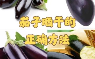 茄子怎么晒干_冬天怎么吃