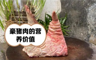 豪猪肉的功效与作用_豪猪肉能治什么病