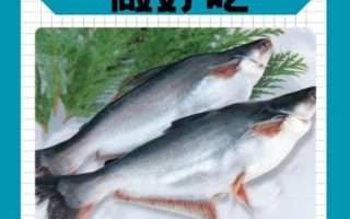 孕妇可以吃巴沙鱼吗_巴沙鱼对孕妇的好处与风险