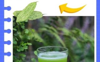 苦瓜汁生榨还是熟榨_哪个更营养