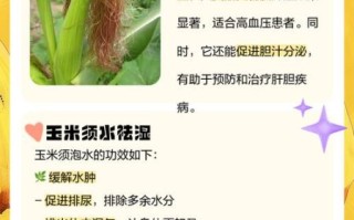 长期喝玉米须水的危害_玉米须水副作用有哪些
