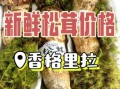 东北松茸多少钱一斤_东北松茸价格行情