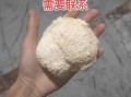 野生猴头菇多少钱一斤_怎么辨别真假野生猴头菇