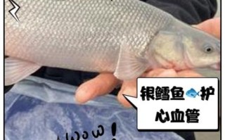 银鳕鱼的营养价值_银鳕鱼适合什么人吃