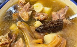 老鸭汤的做法大全家常视频_老鸭汤怎么炖好喝又营养