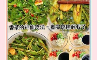 香菜怎么凉拌好吃_香菜凉拌要不要焯水