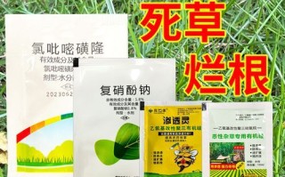香附子除草剂特效药有哪些_香附子用什么除草剂能根除