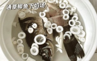 坐月子喝通草的副作用_通草下奶安全吗