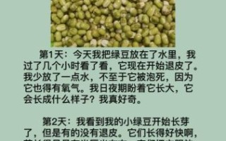 四年级发豆芽七天观察日记怎么写_发豆芽作文写作技巧