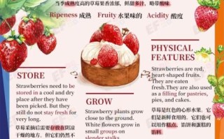 草莓英文缩写是什么_草莓英文缩写怎么读