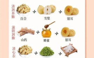 秋季如何养生饮食_秋季吃什么食物最养肺