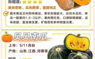 南瓜怎么保存不会坏_南瓜品种大全及名称