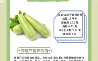 西葫芦的营养价值_西葫芦的禁忌有哪些