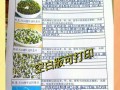 绿豆发芽需要几天_绿豆发芽记录表格怎么看