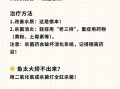 鱼鳍烂了怎么治疗_鱼鳍烂了用什么药