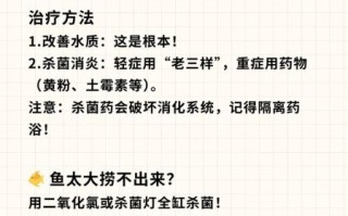 鱼鳍烂了怎么治疗_鱼鳍烂了用什么药