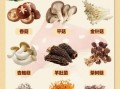 食用菌大全_哪些食用菌营养价值最高