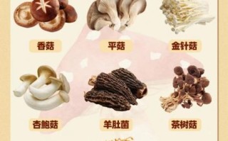 食用菌大全_哪些食用菌营养价值最高 食用菌大全_哪些食用菌营养价值最高