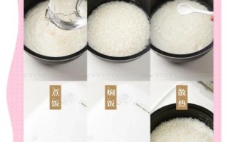 微波炉蒸米饭要多久_微波炉蒸米饭水米比例