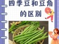 豇豆图片大全大图_豇豆和四季豆的区别