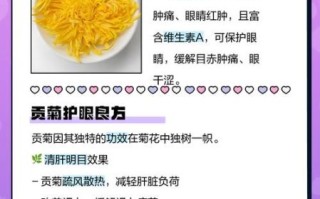 贡菊的功效与作用_贡菊怎么泡水喝才正确
