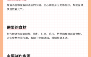 醒酒汤的家常做法_醒酒汤怎么做最好喝