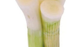 葱白图片大全_葱白高清图鉴