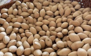 白果怎么去皮快_白果内皮快速剥法