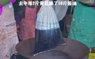 酱油怎么酿_家庭自酿酱油全过程