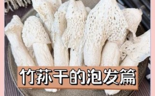野生干蘑菇怎么泡发_野生干蘑菇怎么做好吃