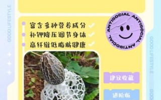 竹荪菌的功效与作用_竹荪菌的禁忌人群有哪些