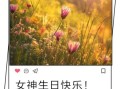 高情商祝自己生日快乐_如何优雅又不尴尬