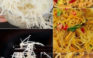 龙须菜有几种_龙须菜和石花菜区别