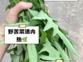 苦菜的功效与作用及禁忌_什么人不能吃苦菜