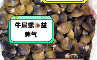 为什么好多人都吃海螺屎_海螺屎到底能不能吃