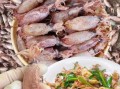 海兔怎么清洗_海兔清洗视频教程