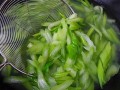 芹菜要不要焯水_焯水后营养会流失吗