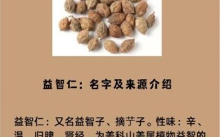益智仁最佳配伍有哪些_益智仁和什么搭配效果最好