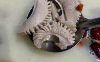 羊腰子是什么味道_羊腰子好吃吗