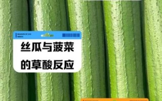 丝瓜不能和什么一起吃_丝瓜相克食物有哪些