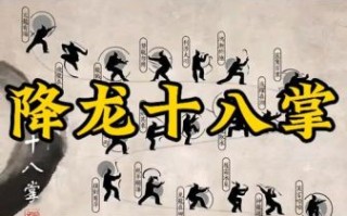 降龙十八掌SEO优化怎么做_降龙十八掌招式怎么写