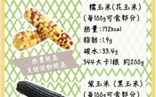 吃玉米会胖吗_玉米热量高吗